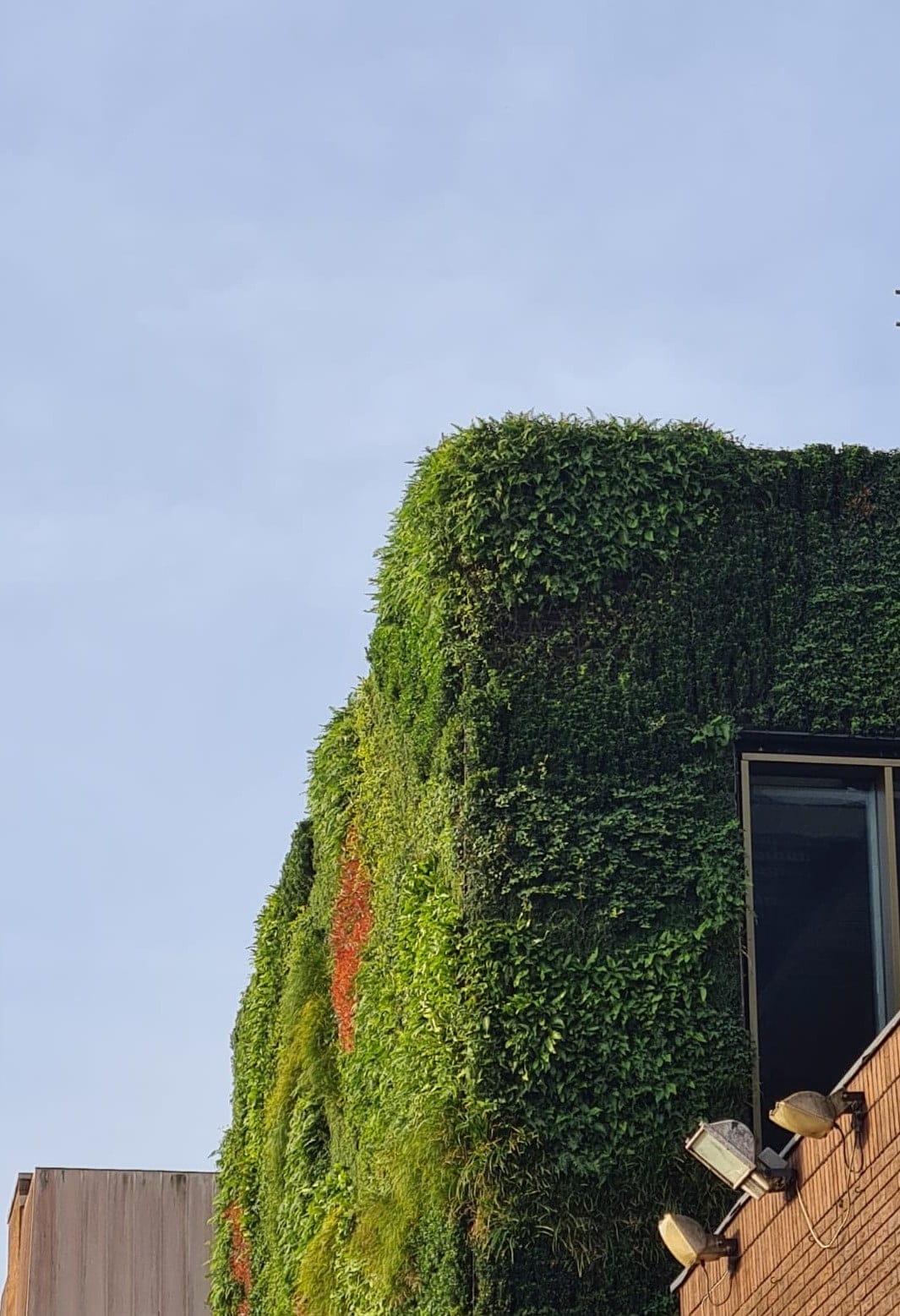 Custom Plant Installations | Living Walls | I Want Plants