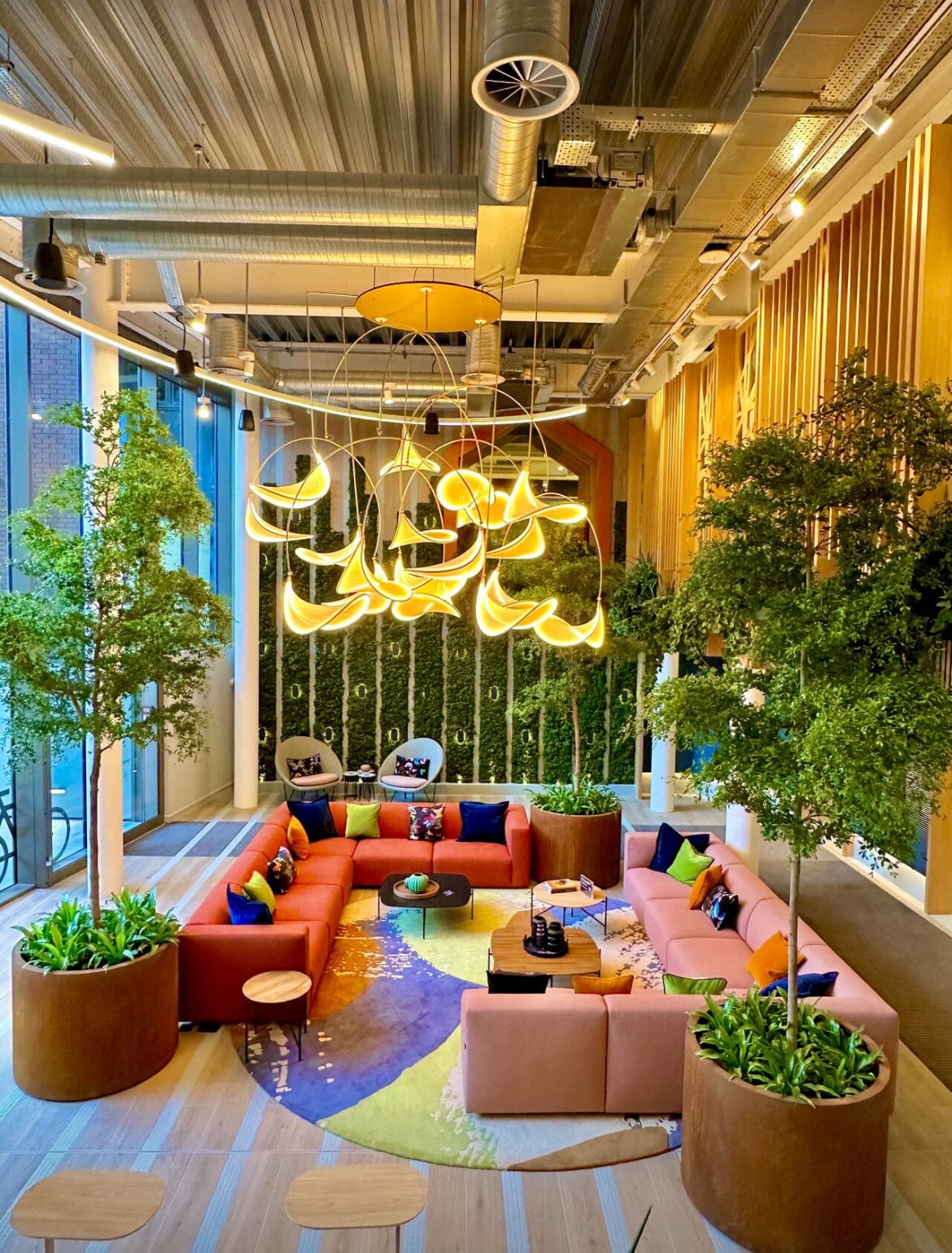 Office Plant Hire | Rental Plants & Maintenance | I Want Plants